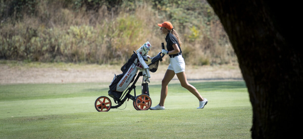 Contact - Ellie Slama