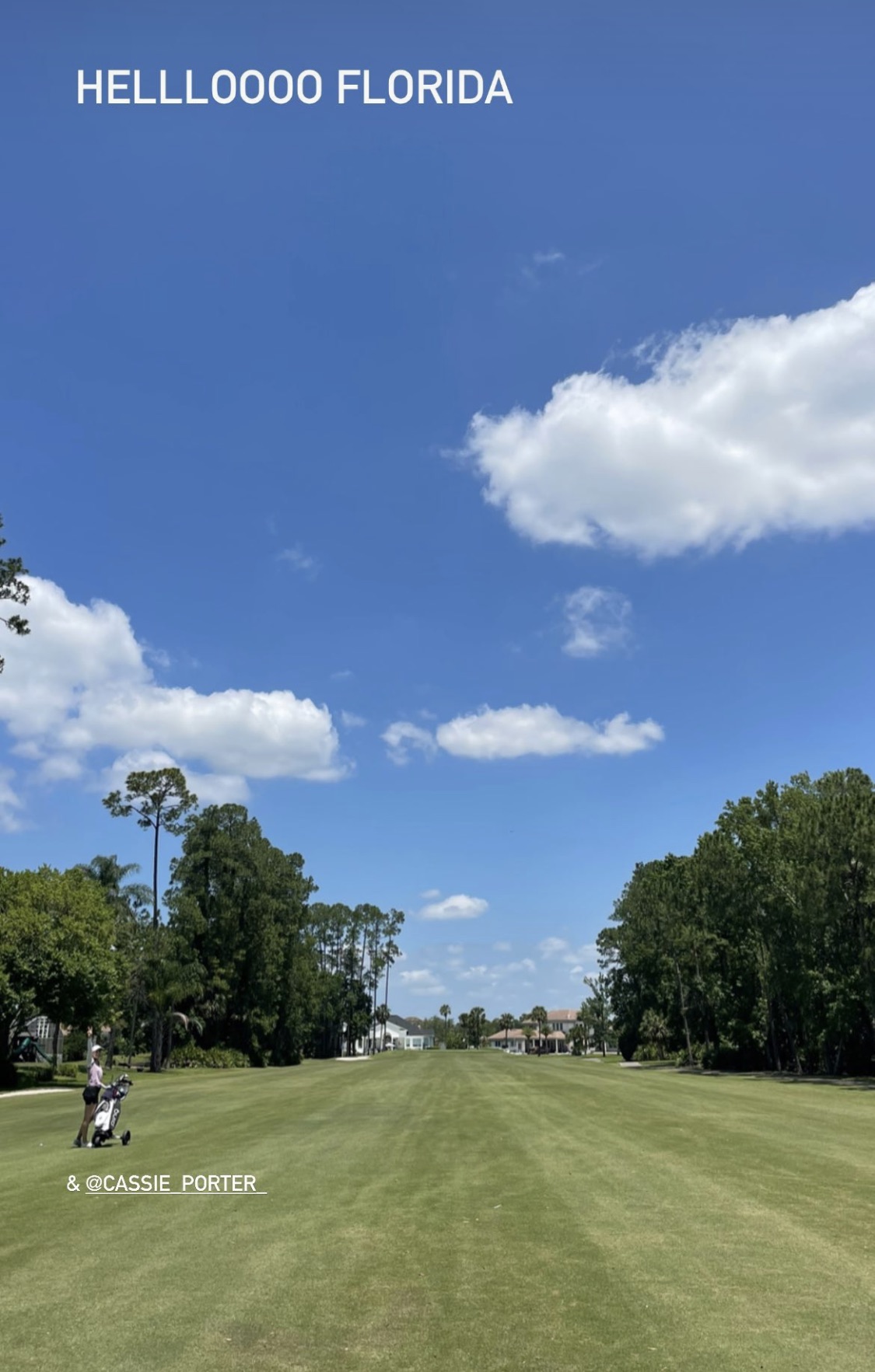 HELLLOOOO FLORIDA - Ellie Slama